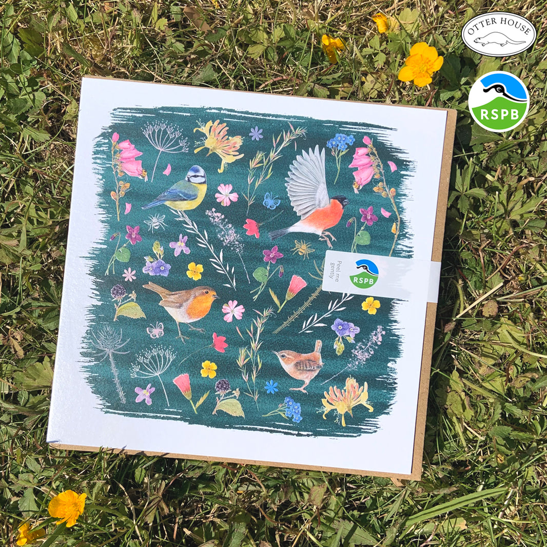 RSPB Collection – Otter House