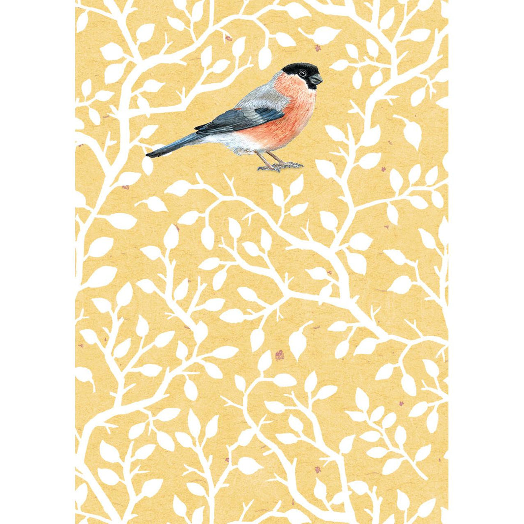 RSPB Collection – Otter House