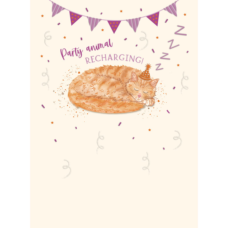 Animal Crackers Card Collection - Recharging Cat – Otter House