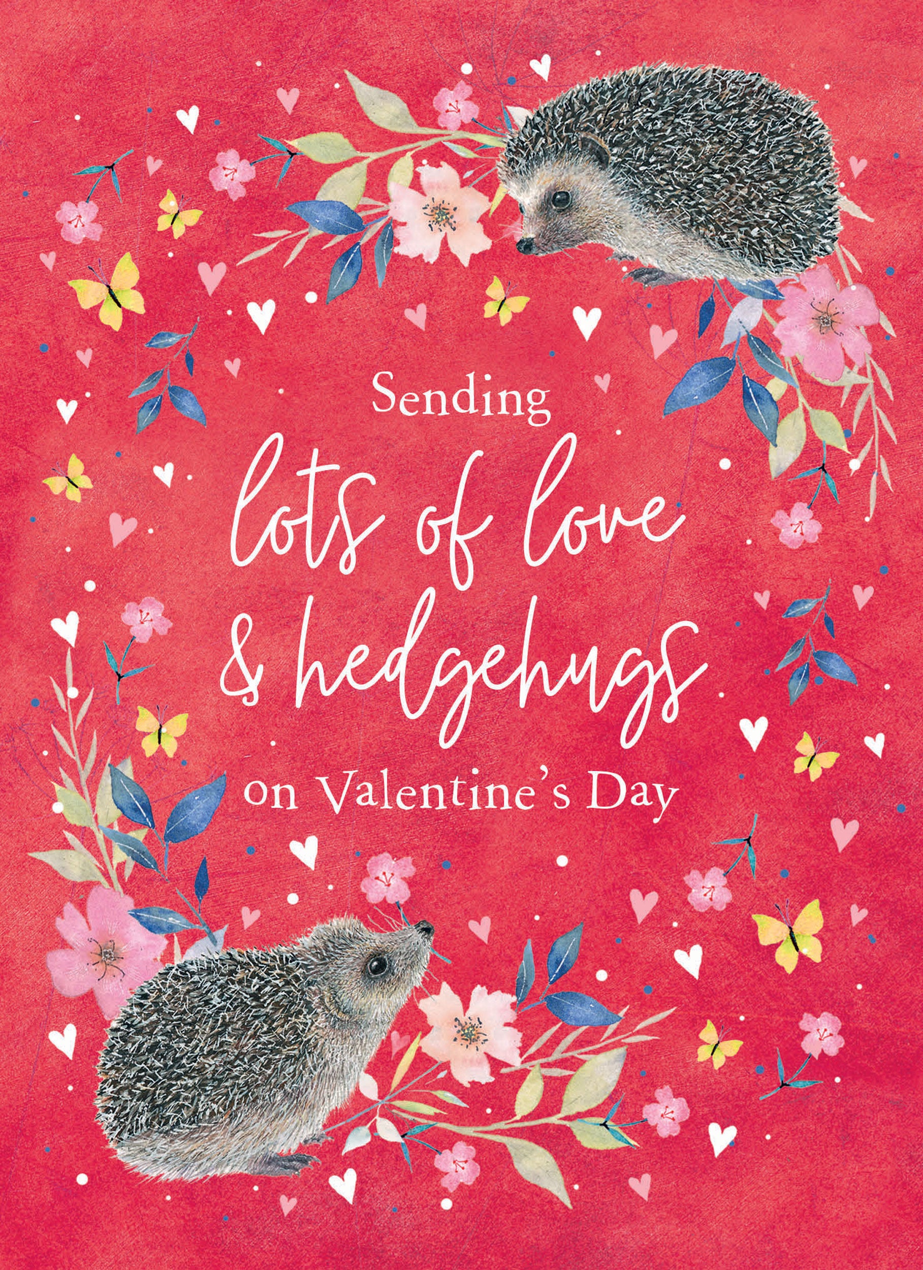 Valentines Day Card - HEDGEHUGS – Otter House
