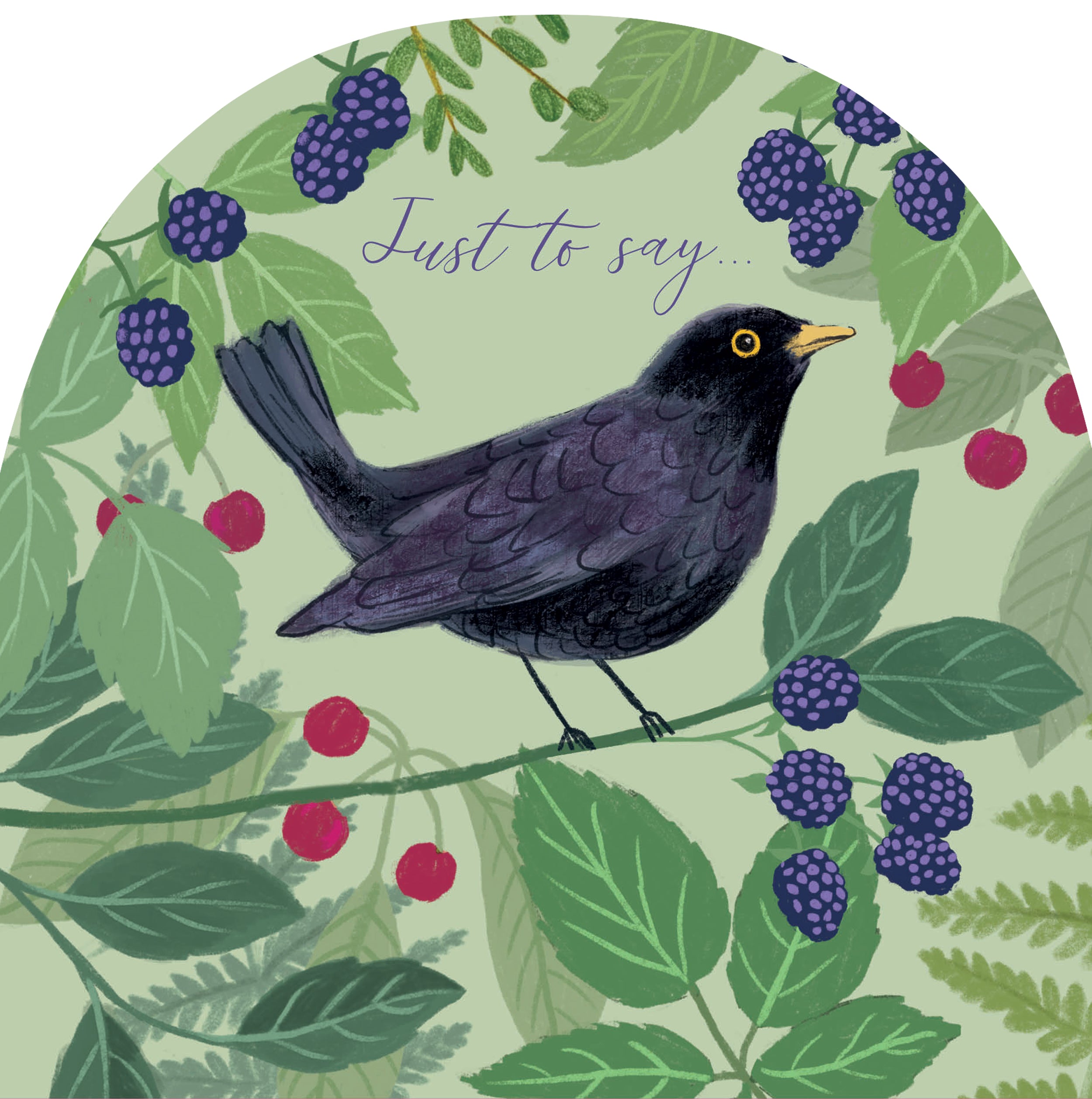 RSPB Collection – Otter House