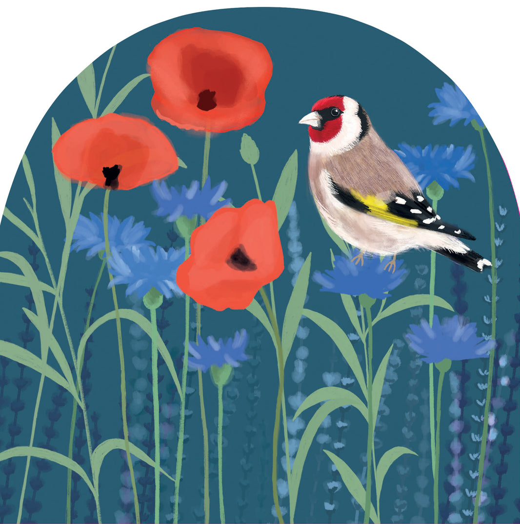 RSPB Collection – Otter House