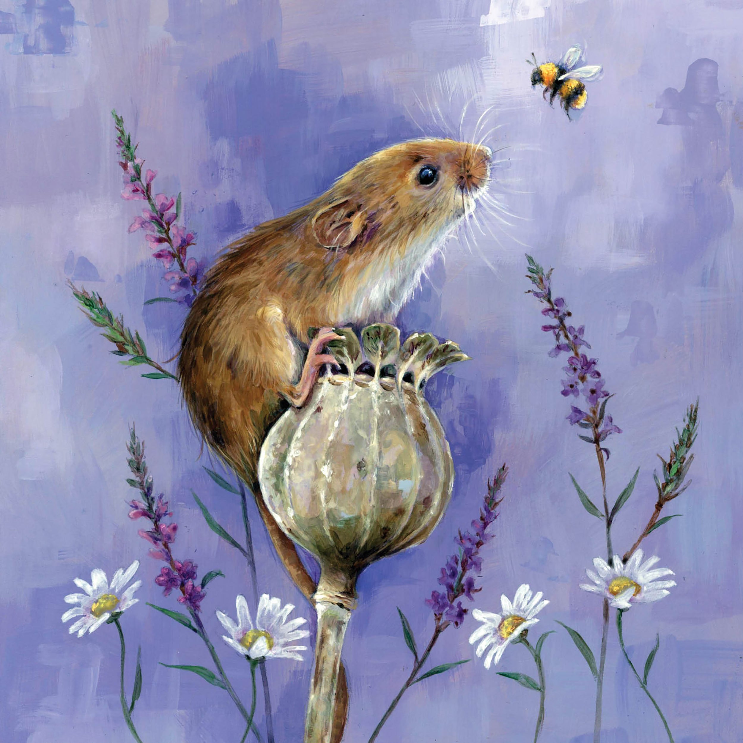 Wild Friends Card - Field Mouse – Otter House